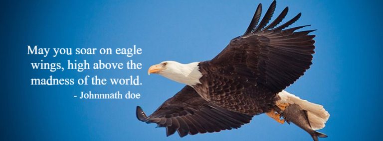 20+ Awesome Facebook Cover Ideas