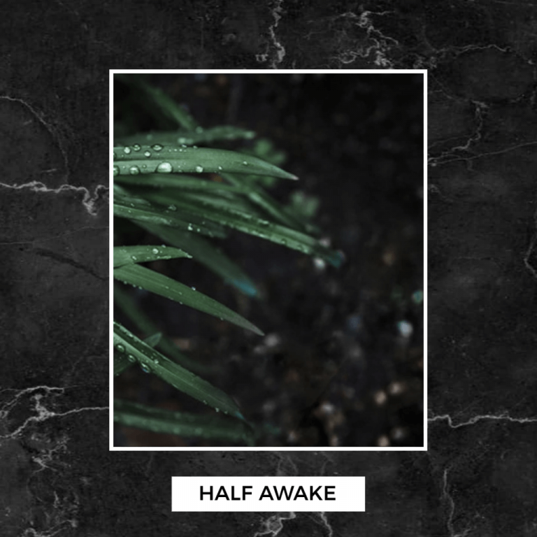 Album Cover Ideas For Your Inspiration