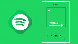 Album Cover Size Guide