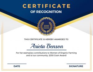 Academic Certificate Example