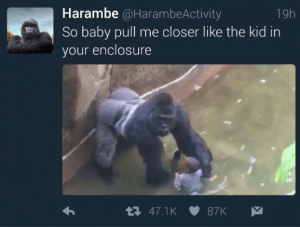 Popular Meme: Memes That Went Viral