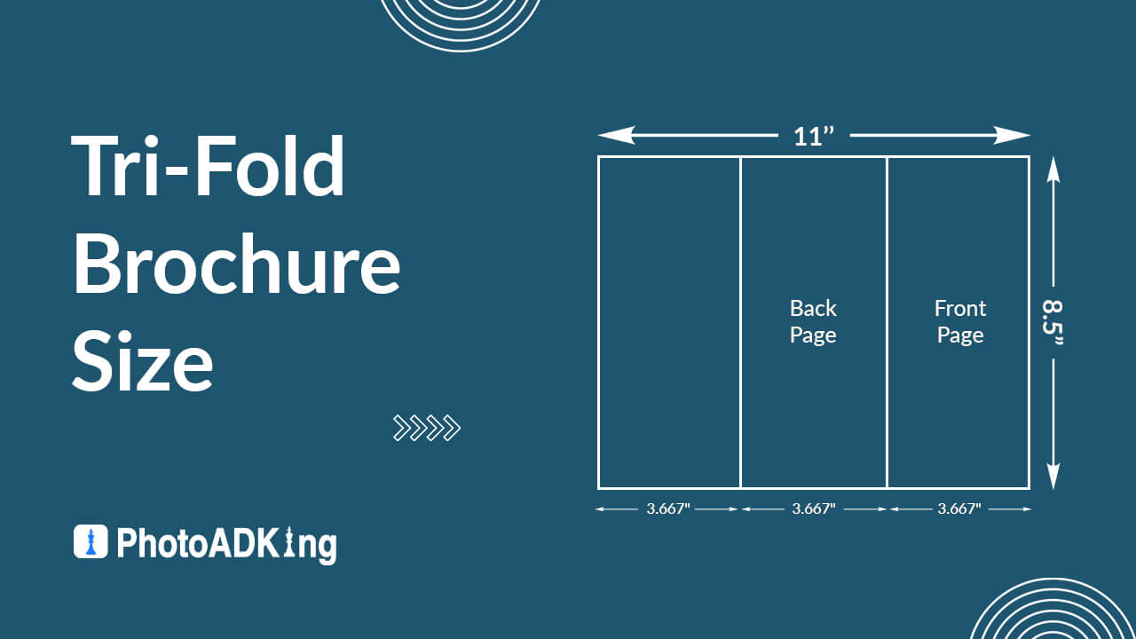 Tri Fold Brochure Size