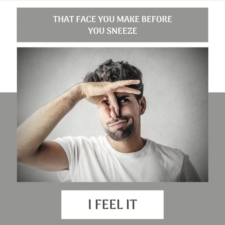 Meme Examples for Your Next Creation