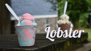 Gift Card Font: A Comprehensive Guide