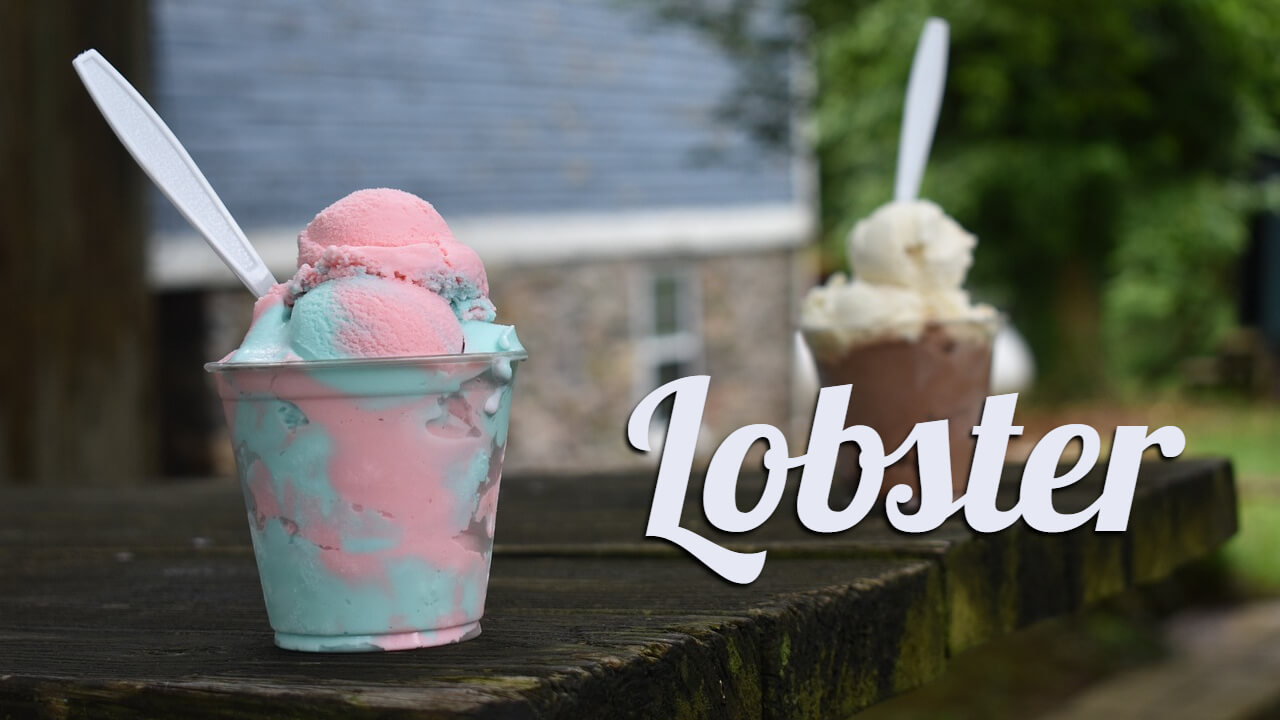 Gift Card Font: A Comprehensive Guide