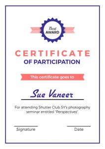 Participation Certificate Sample