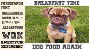 Best Meme Fonts - Top 25 Fonts for Your Memes