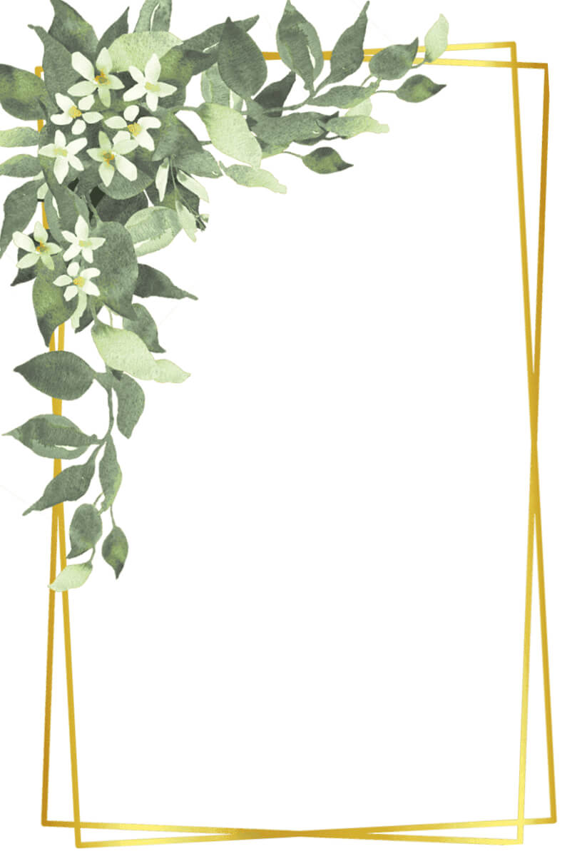 Wedding Invitation Background