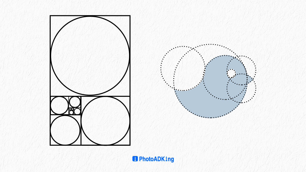 How to Use the Golden Ratio in Flyer Designs